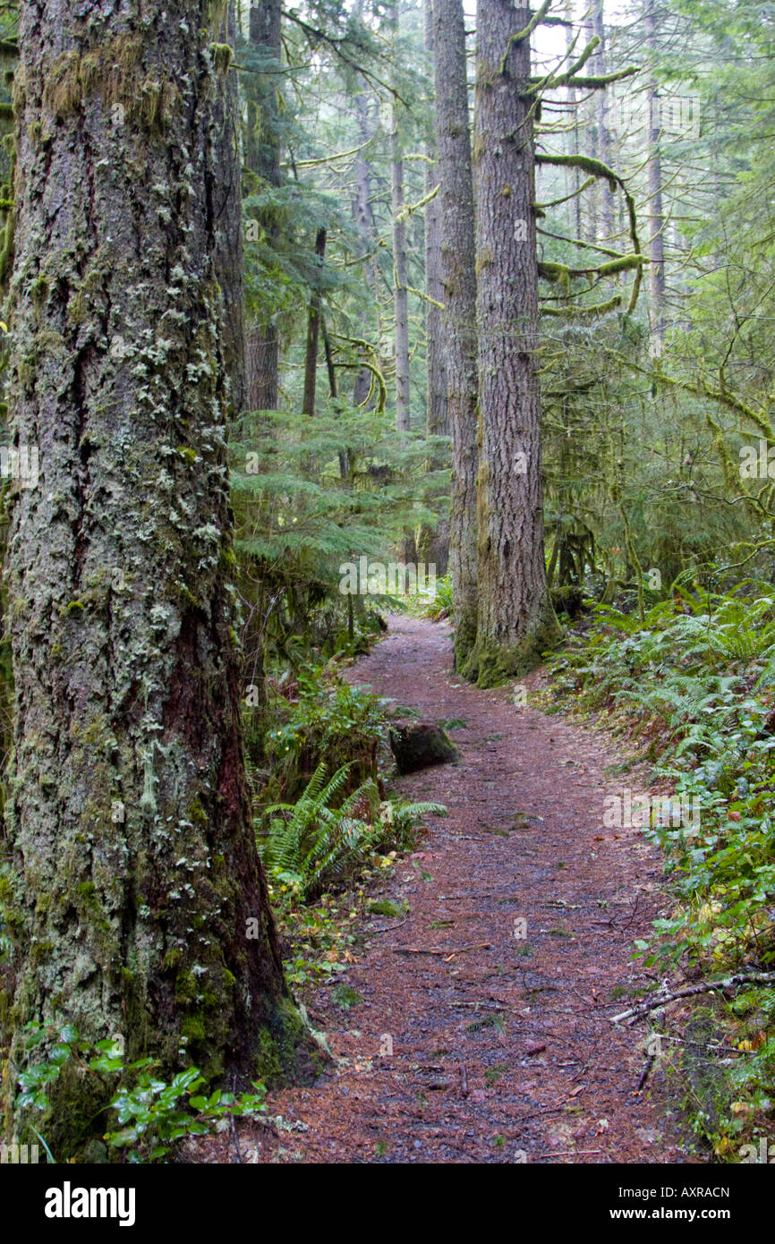 Path in Silver Creek Falls State Park Oregon USA Stock Photo - Alamy