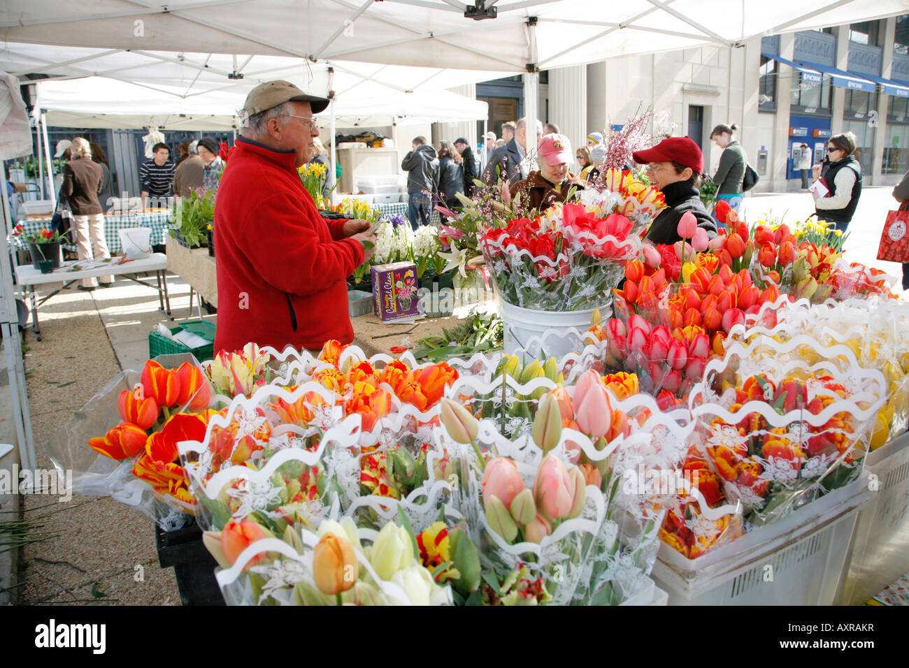 Washington dc and farmers market hi-res stock photography and images ...