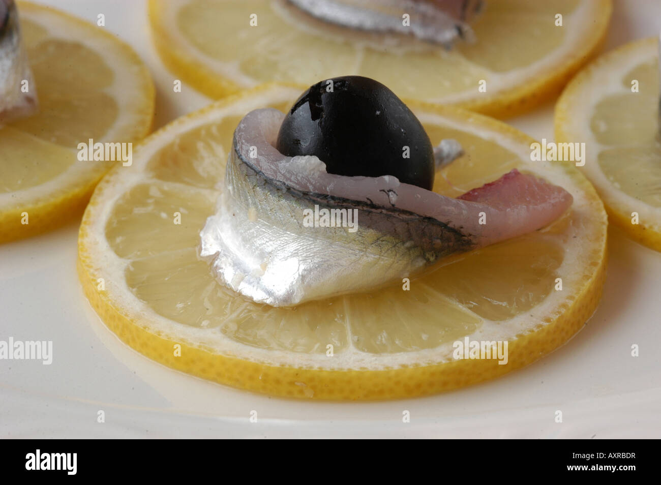 Photomacrographs hi-res stock photography and images - Alamy