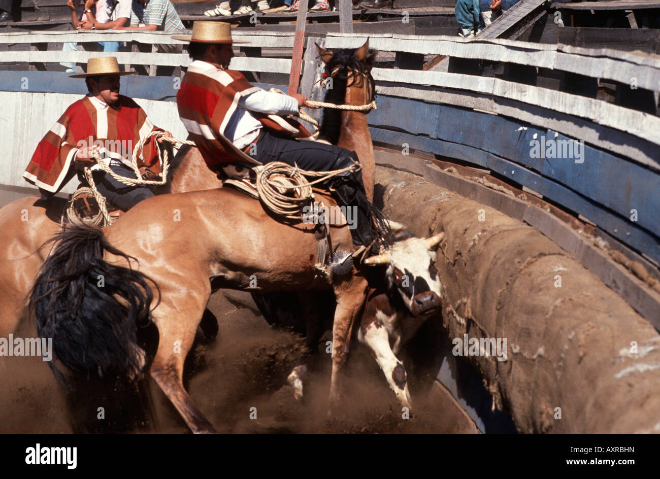 chile rodeo southern chile Stock Photo - Alamy