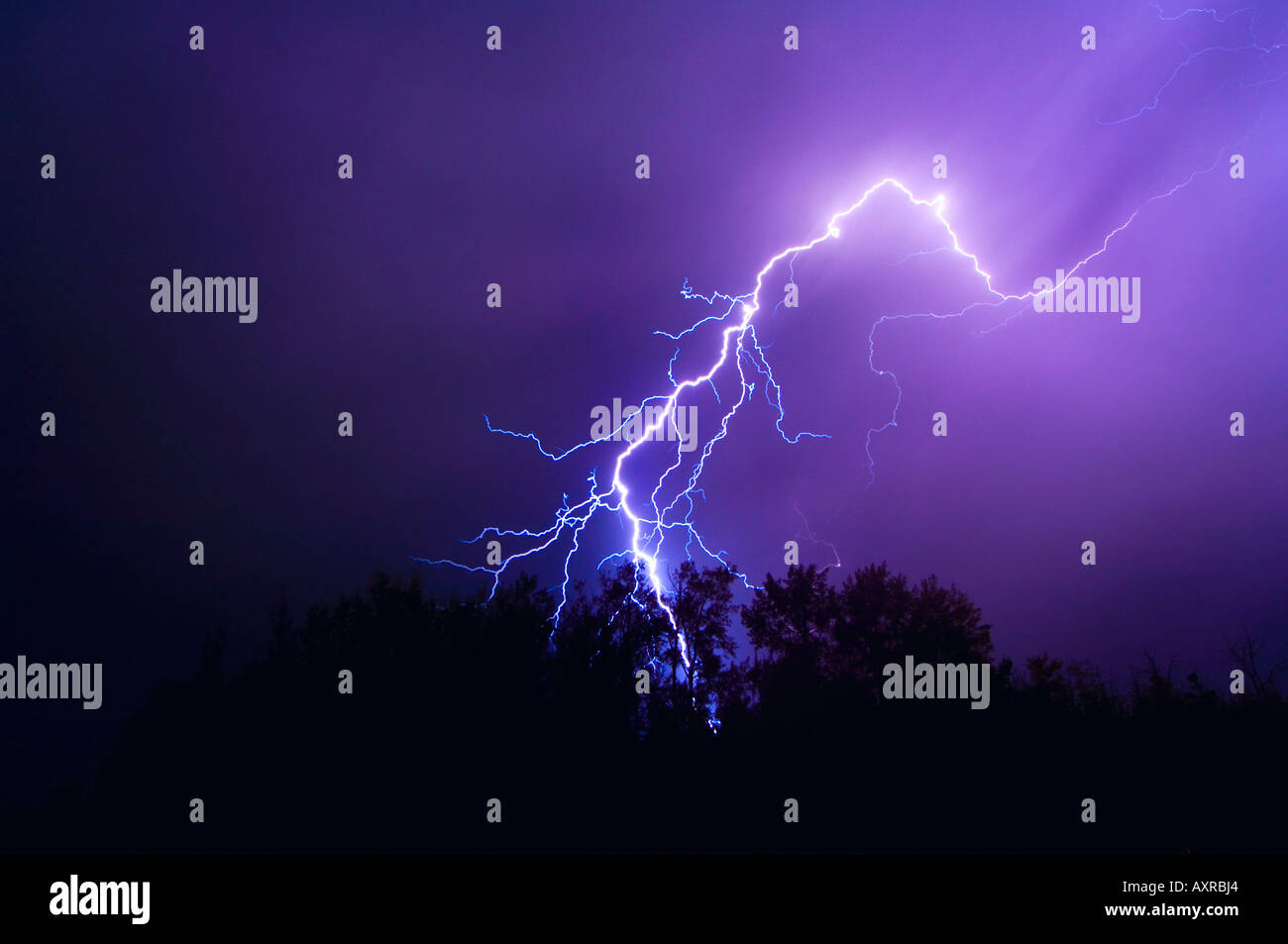 Lightning bolt over trees Stock Photo - Alamy