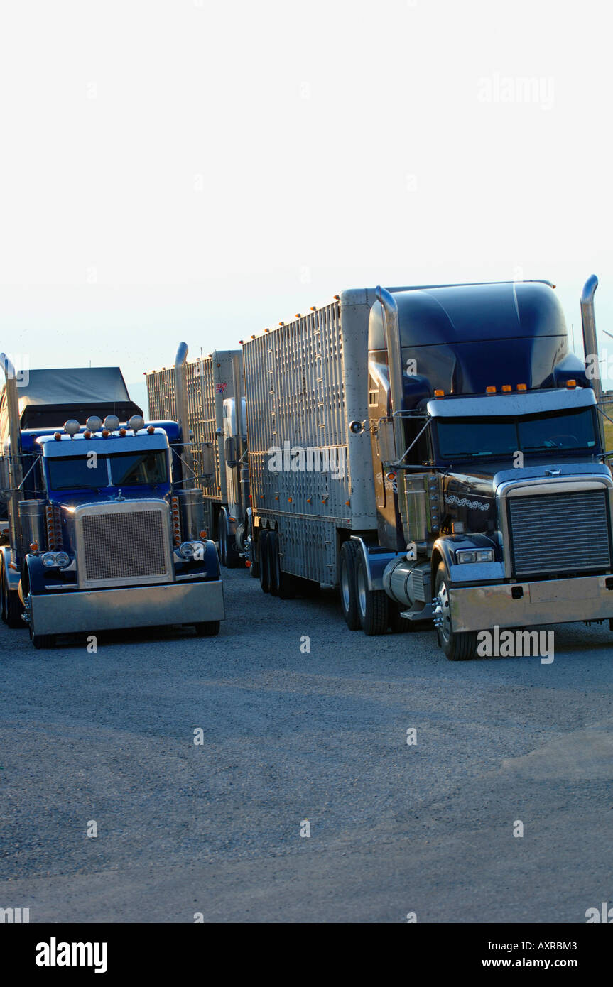 Semi trailer trucks Stock Photo - Alamy