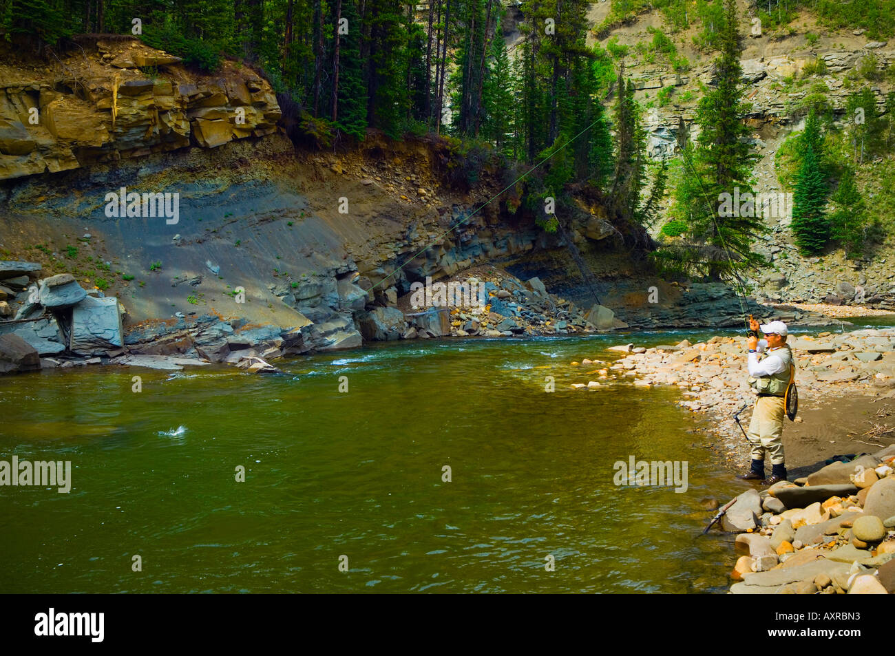 Fly fishing in an Alberta river Stock Photo - Alamy