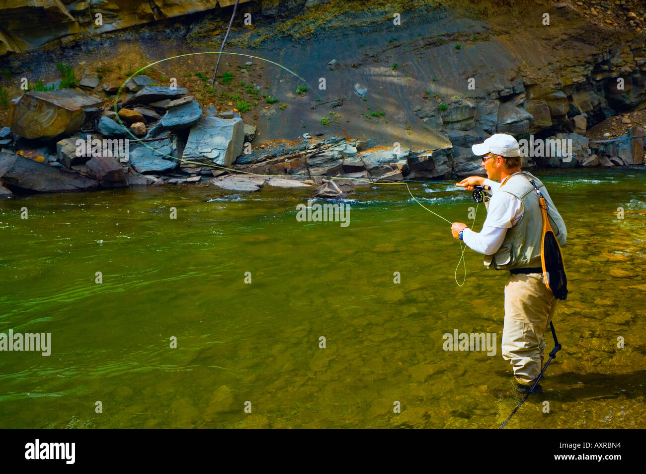 Fly fishing in an Alberta river Stock Photo - Alamy
