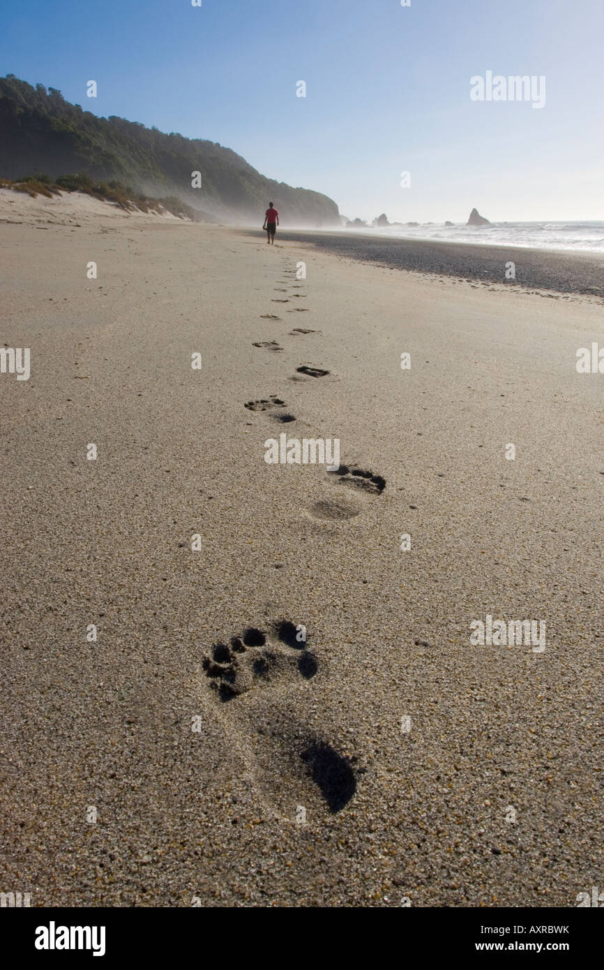 Foot Prints on Sandy Beach, as Left By Distant Figure Stock Photo - Alamy