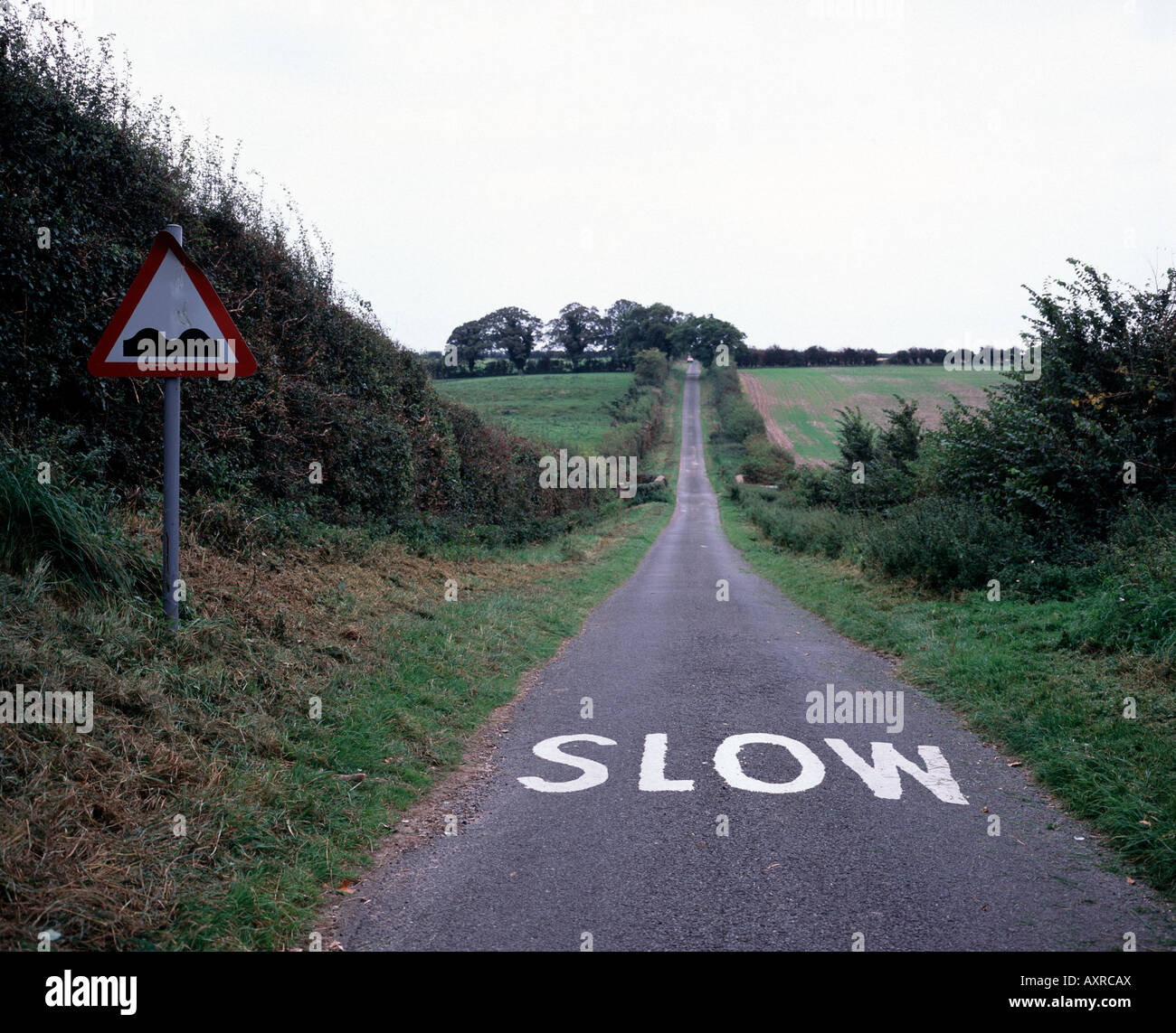 Slow - road marking in a country lane in Norfolk UK Stock Photo - Alamy
