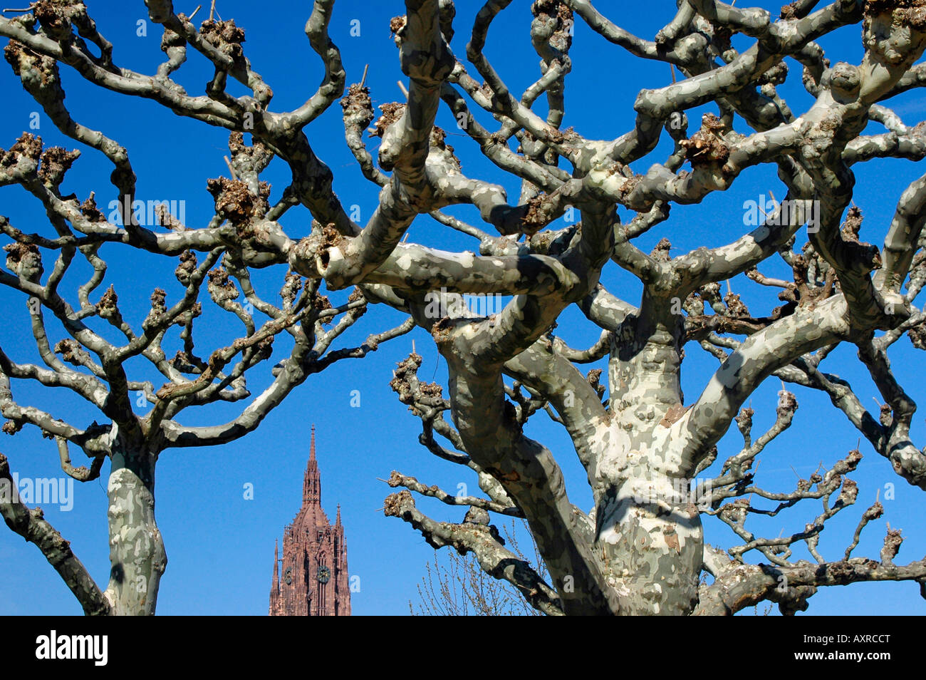 Extrange hi-res stock photography and images - Alamy