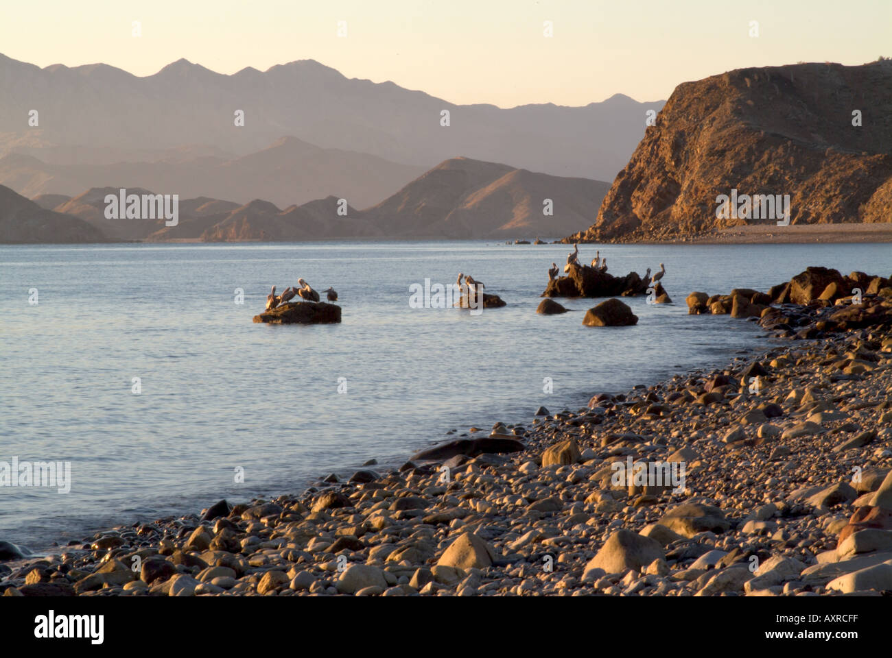 LA Bay Baja California Mexico Stock Photo - Alamy