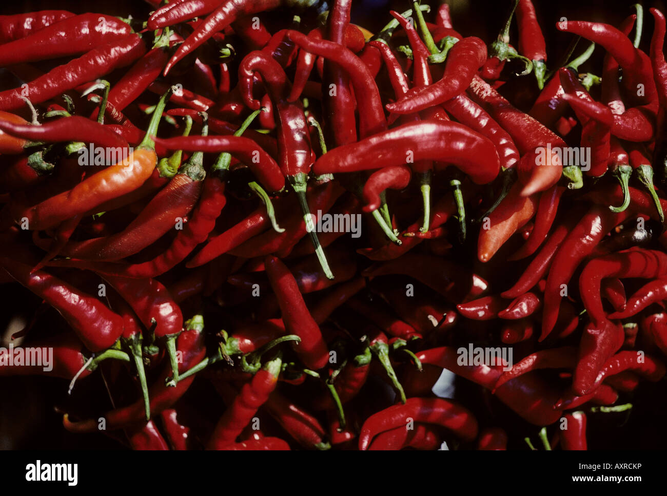 Croatia split green market hi-res stock photography and images - Alamy