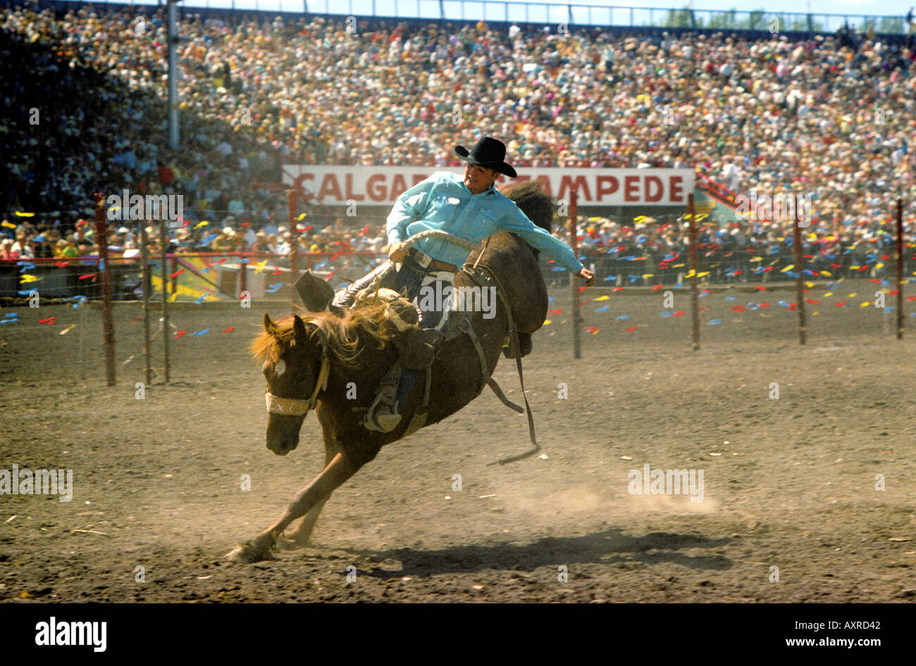 Bucking horse bronco hi-res stock photography and images - Alamy