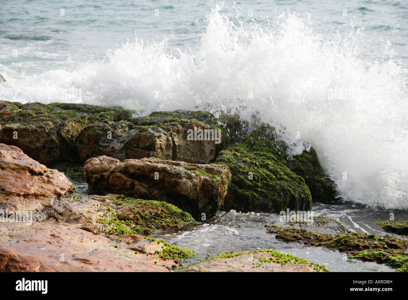 waves rising at kovalam,india Stock Photo - Alamy