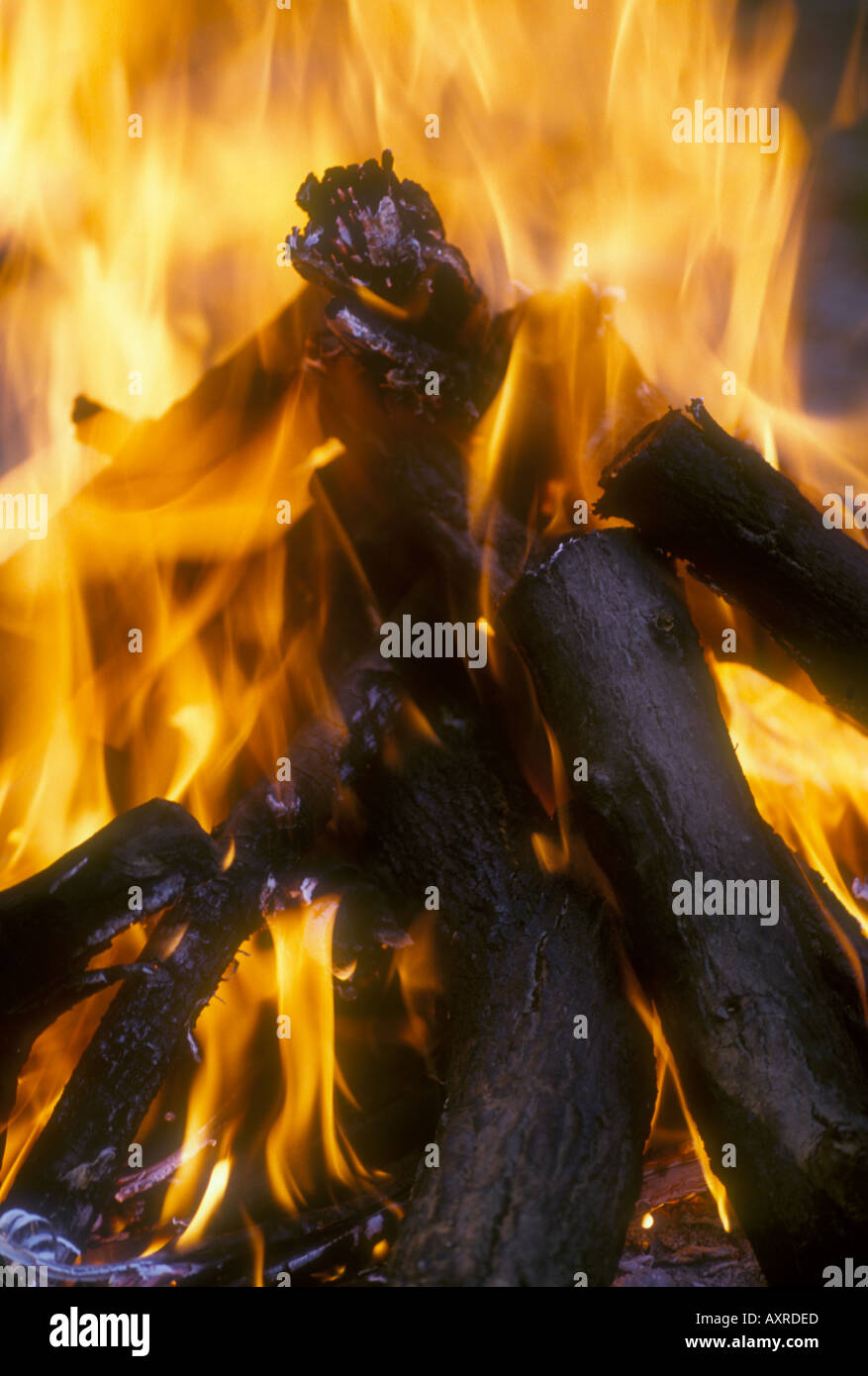 Roaring campfire hi-res stock photography and images - Alamy