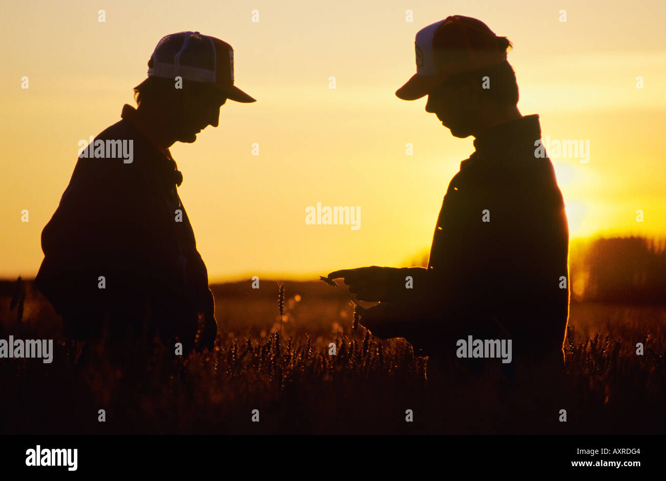 Two farmers hi-res stock photography and images - Alamy