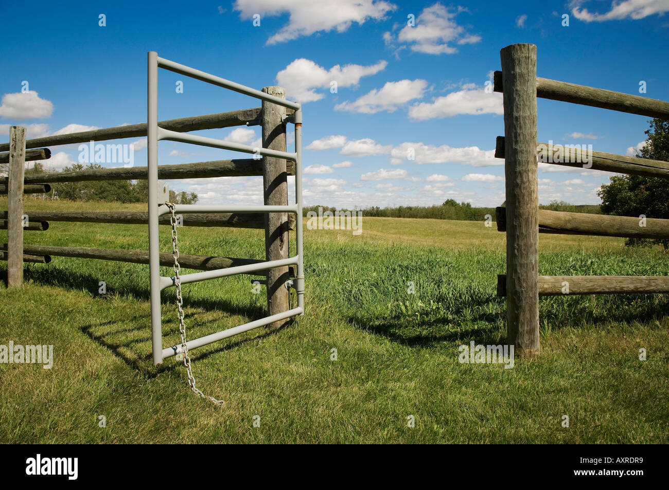 Open gate on a farm Stock Photo - Alamy