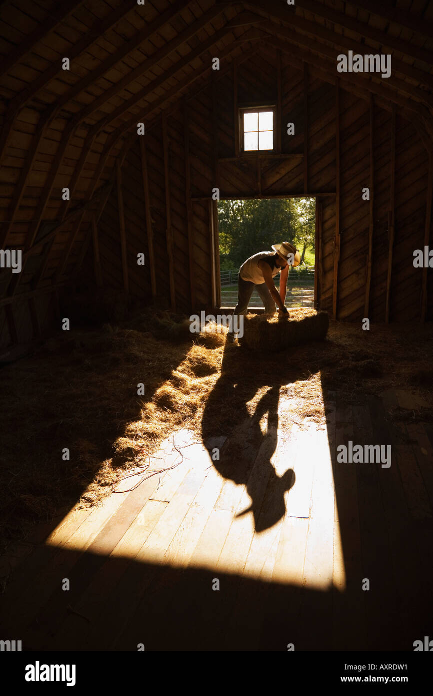 Man moving a bale of hay in barn Stock Photo - Alamy