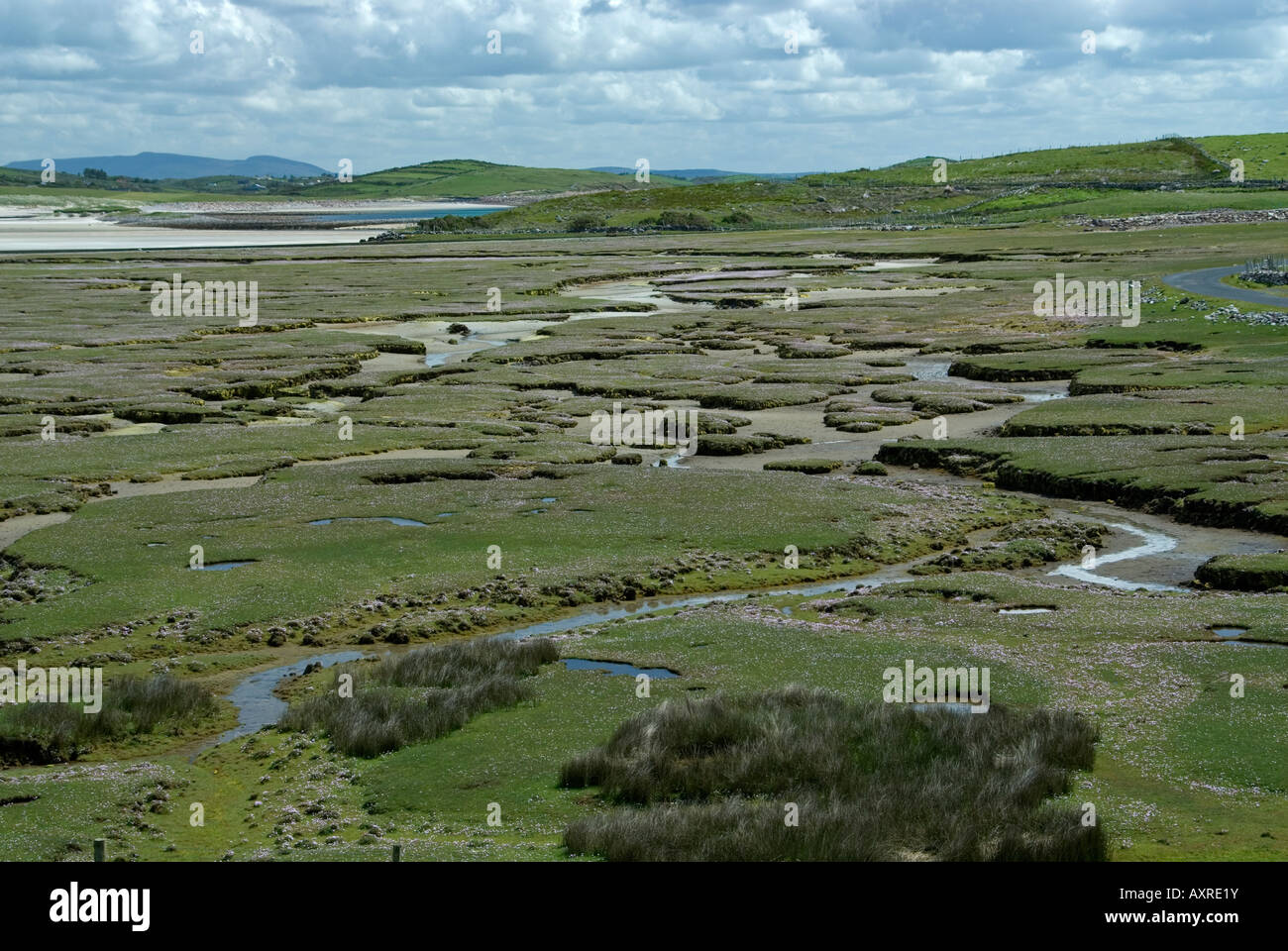 Salt Marsh at Mulranny County Mayo Ireland Stock Photo - Alamy