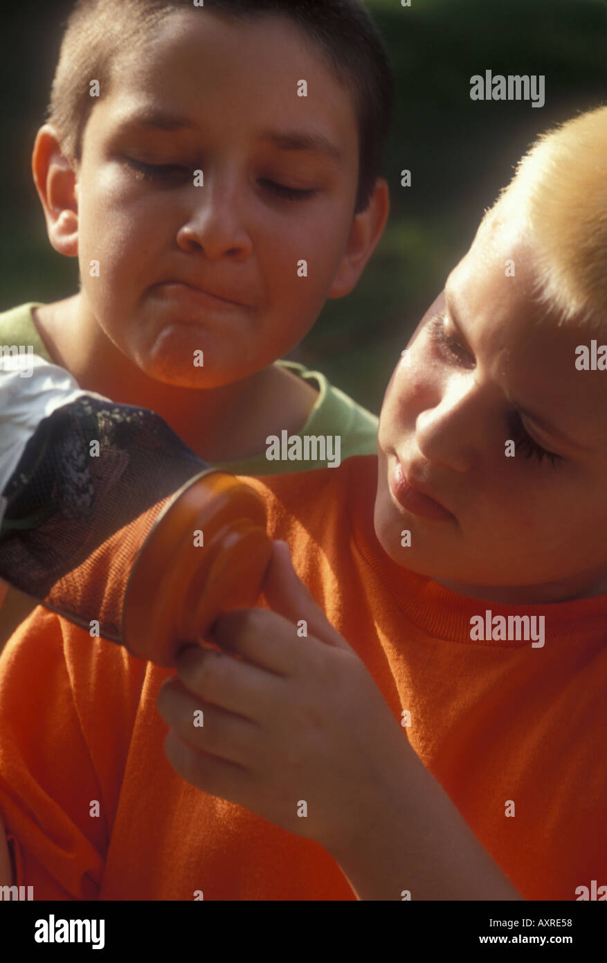 Boys Looking at Bugs Stock Photo - Alamy