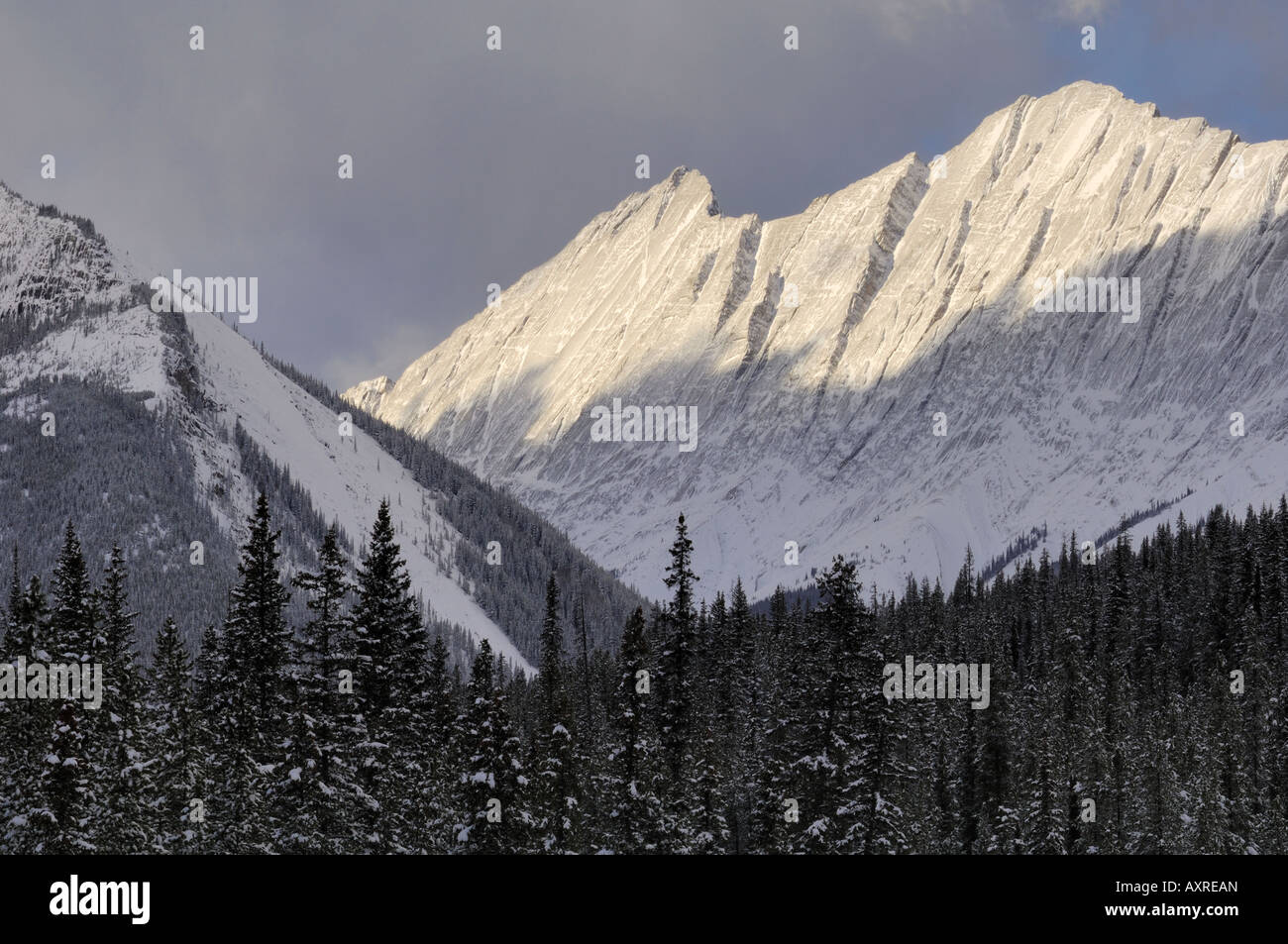 The harsh reality of winter as depicted on a snow covered wind swept ...