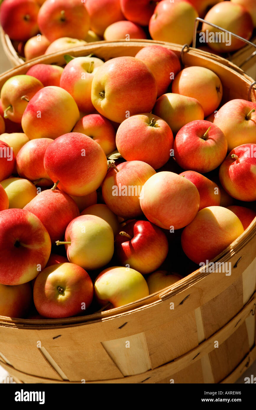 Bushel hi-res stock photography and images - Alamy