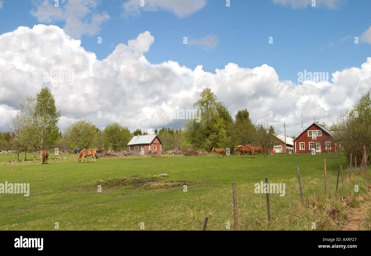 Finnish countryside scenery with small farmhouse at the top of the hill ...