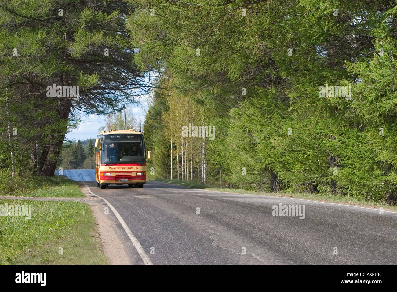 Colorful bus driving on countryside at country road , Finland Stock ...