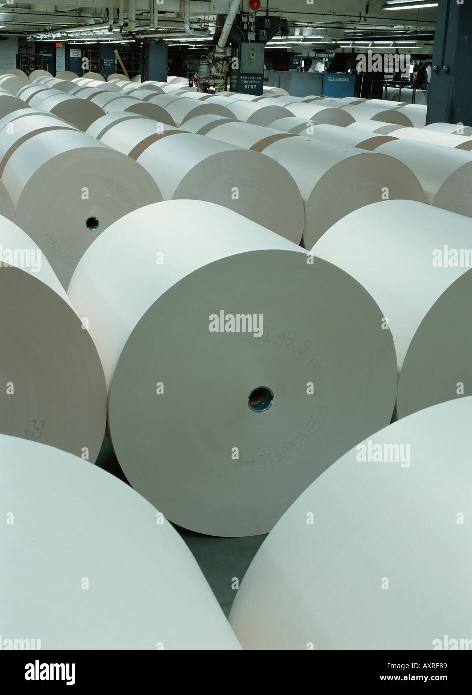 Large Rolls of Newsprint in Newspaper Printing Press Stock Photo - Alamy