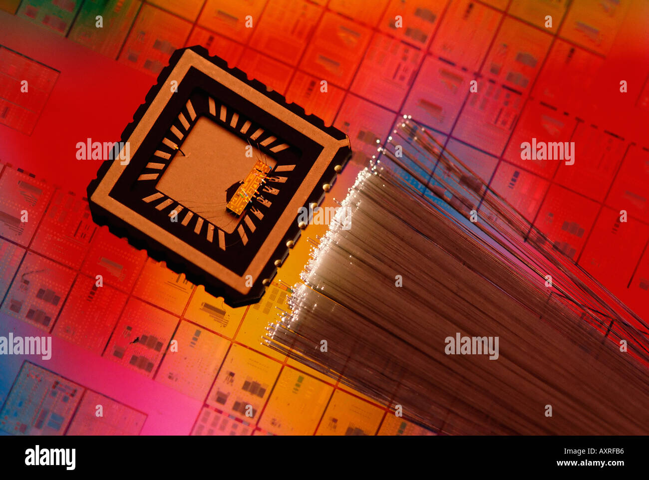 Silicon IC Sized Next to Fiber Optics Stock Photo - Alamy