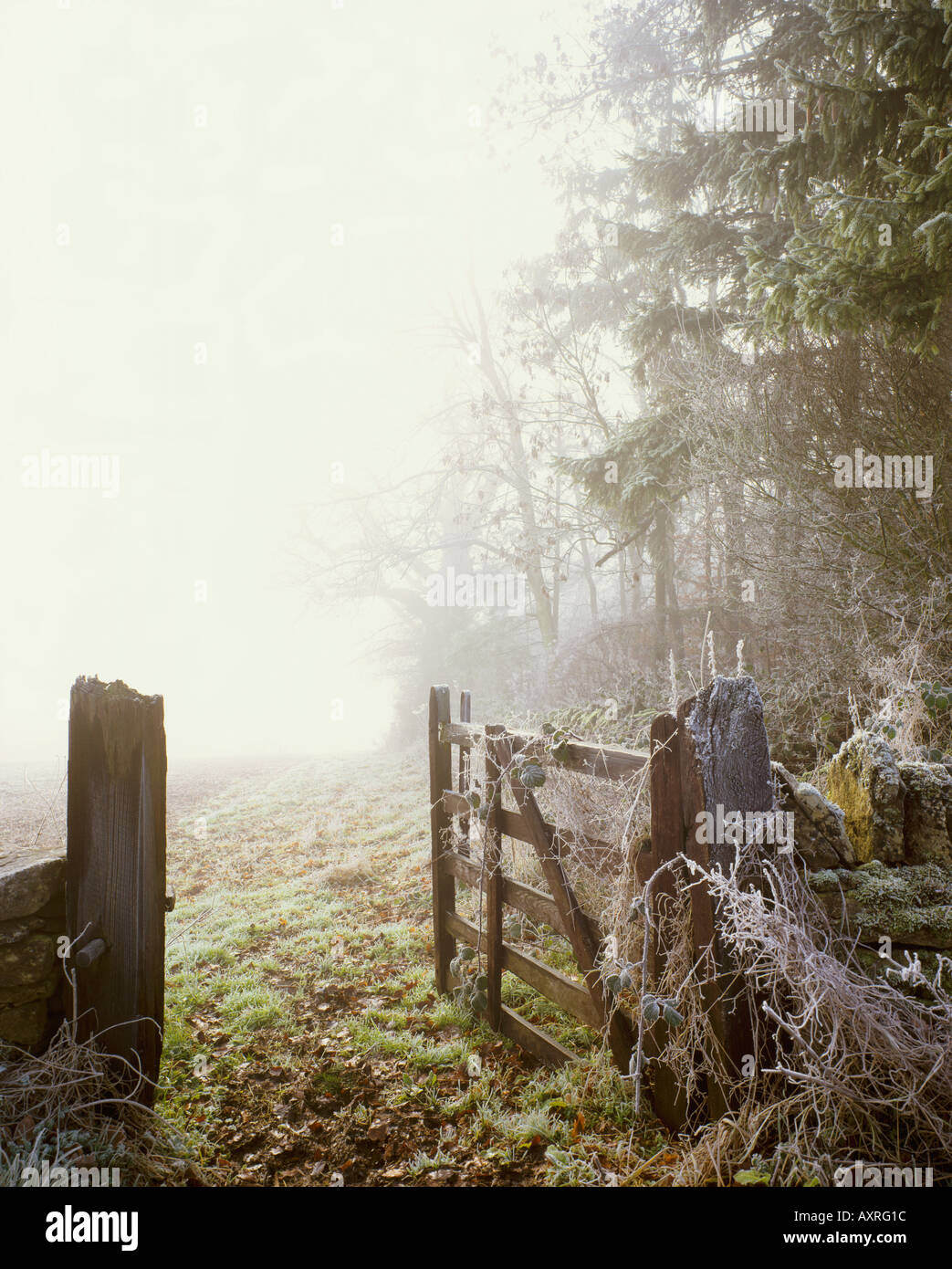 Cold misty winters morning in hi-res stock photography and images - Alamy