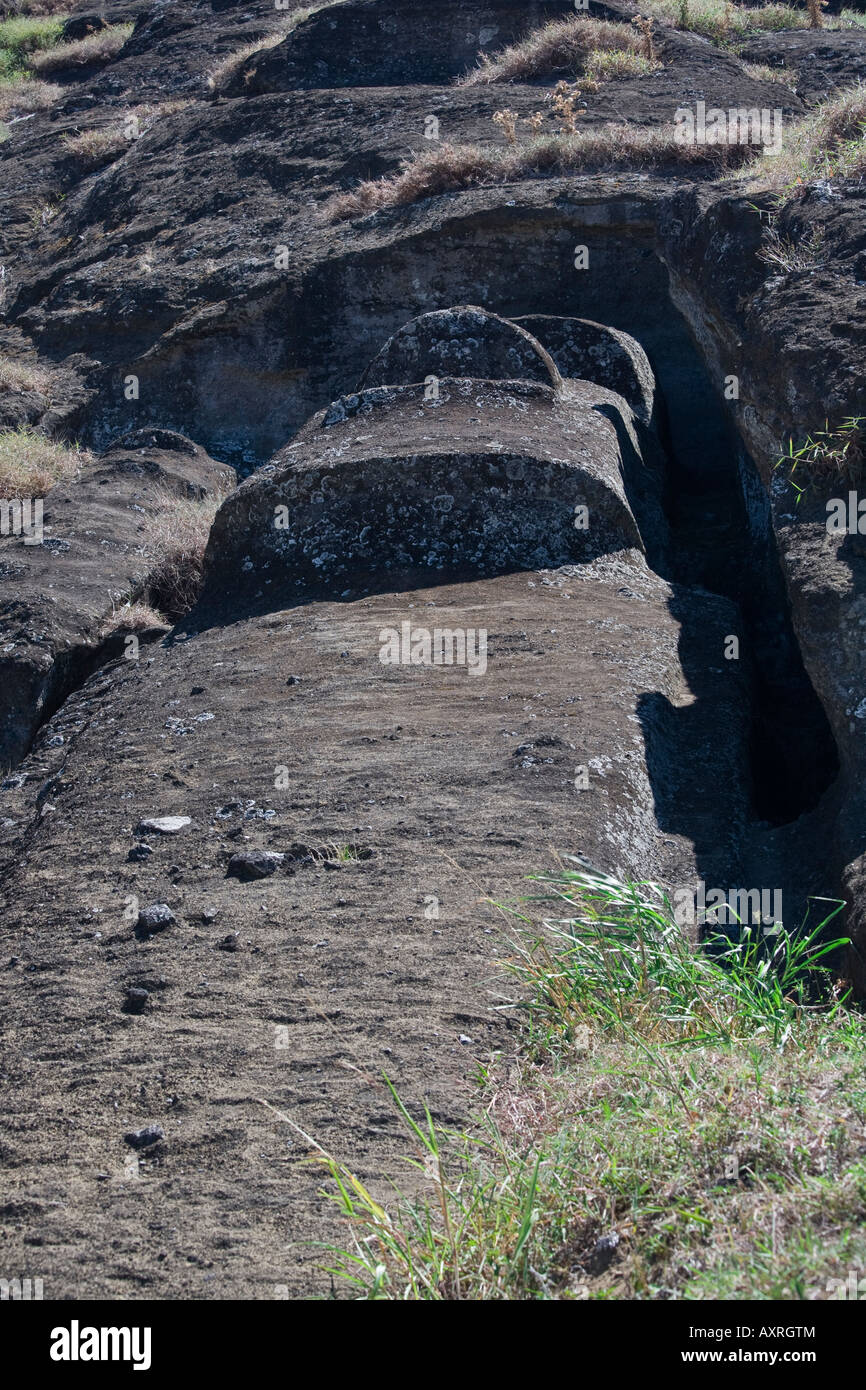 Moai in various stages of completion littered around the hillside of ...
