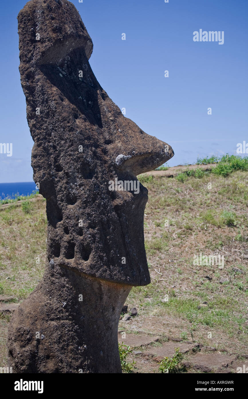 Moai in various stages of completion littered around the hillside of ...
