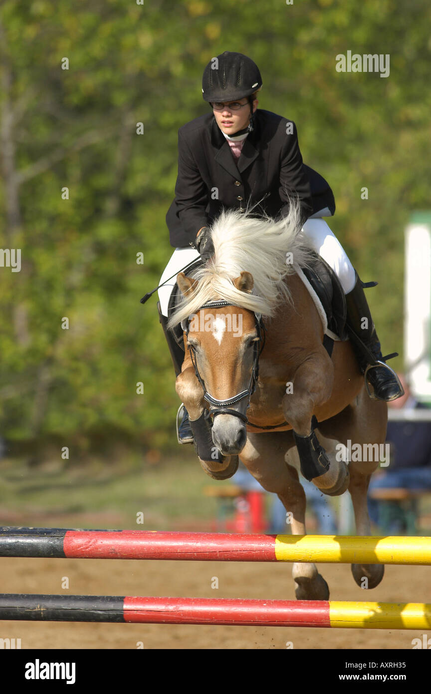 equitation horse with rider jumping Stock Photo - Alamy