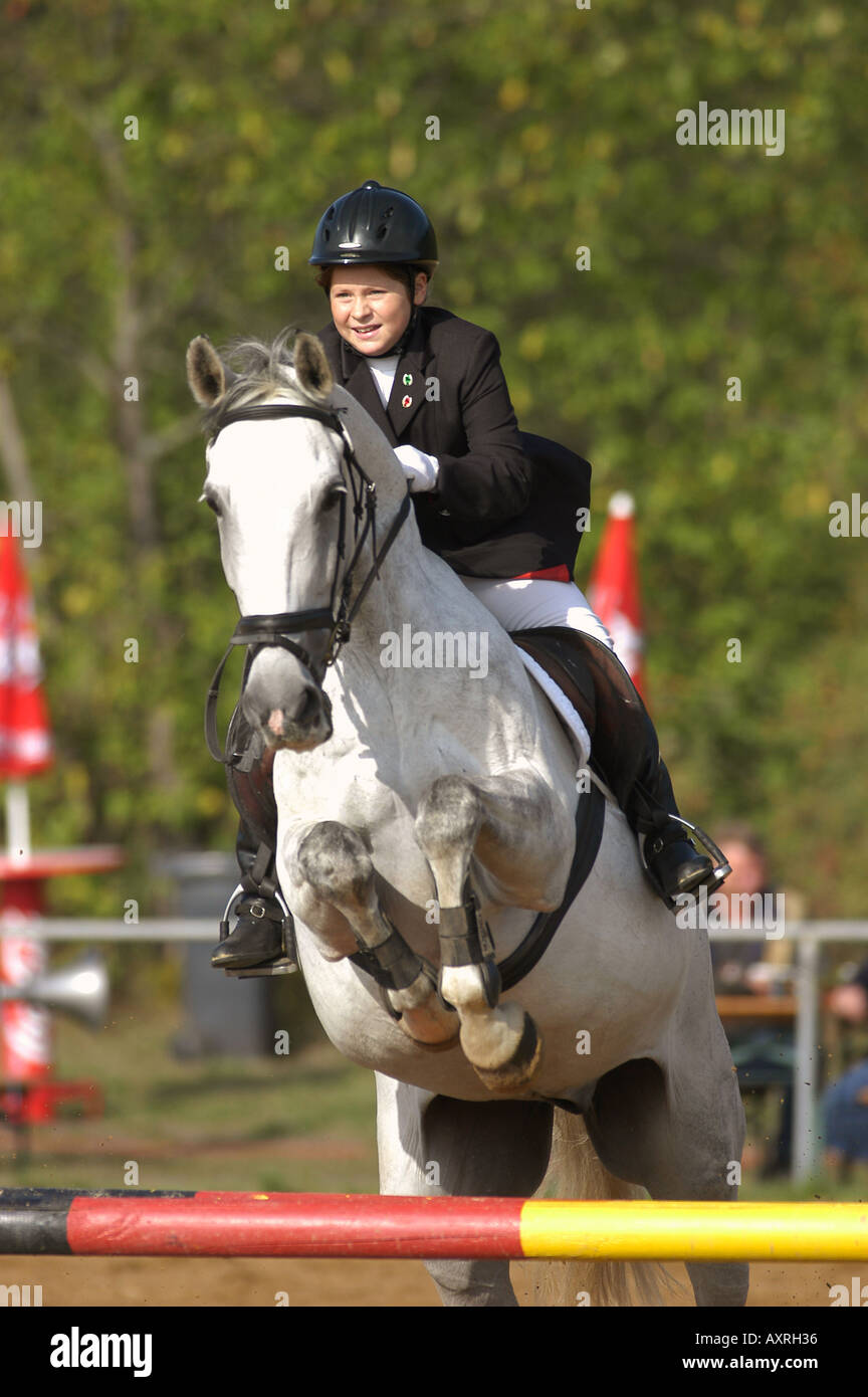 equitation horse with rider jumping Stock Photo - Alamy