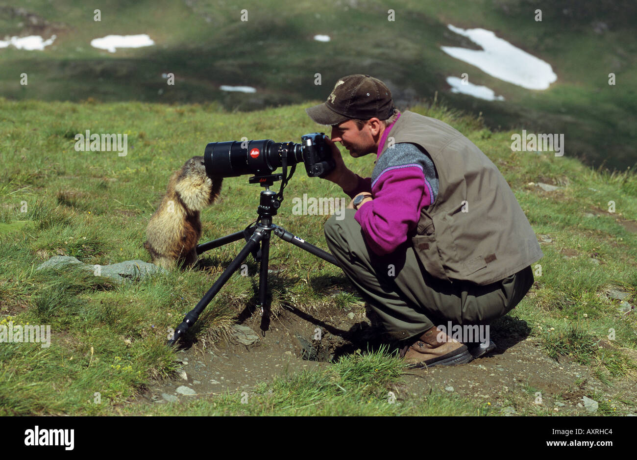 Marmots and human hi-res stock photography and images - Alamy