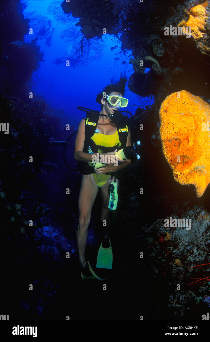 Lady scuba diving hi-res stock photography and images - Alamy