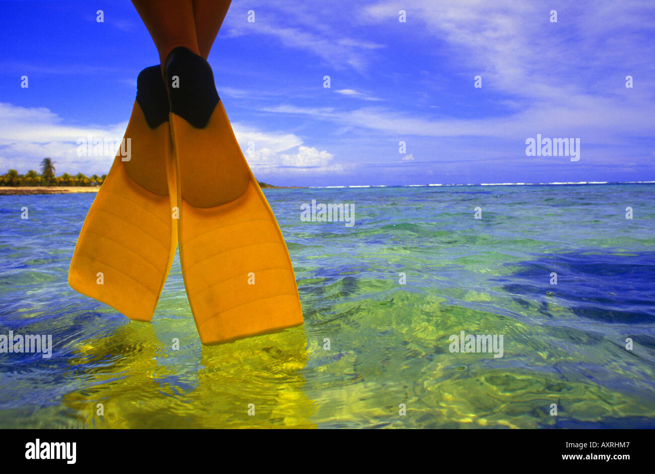 Flipper feet hi-res stock photography and images - Alamy