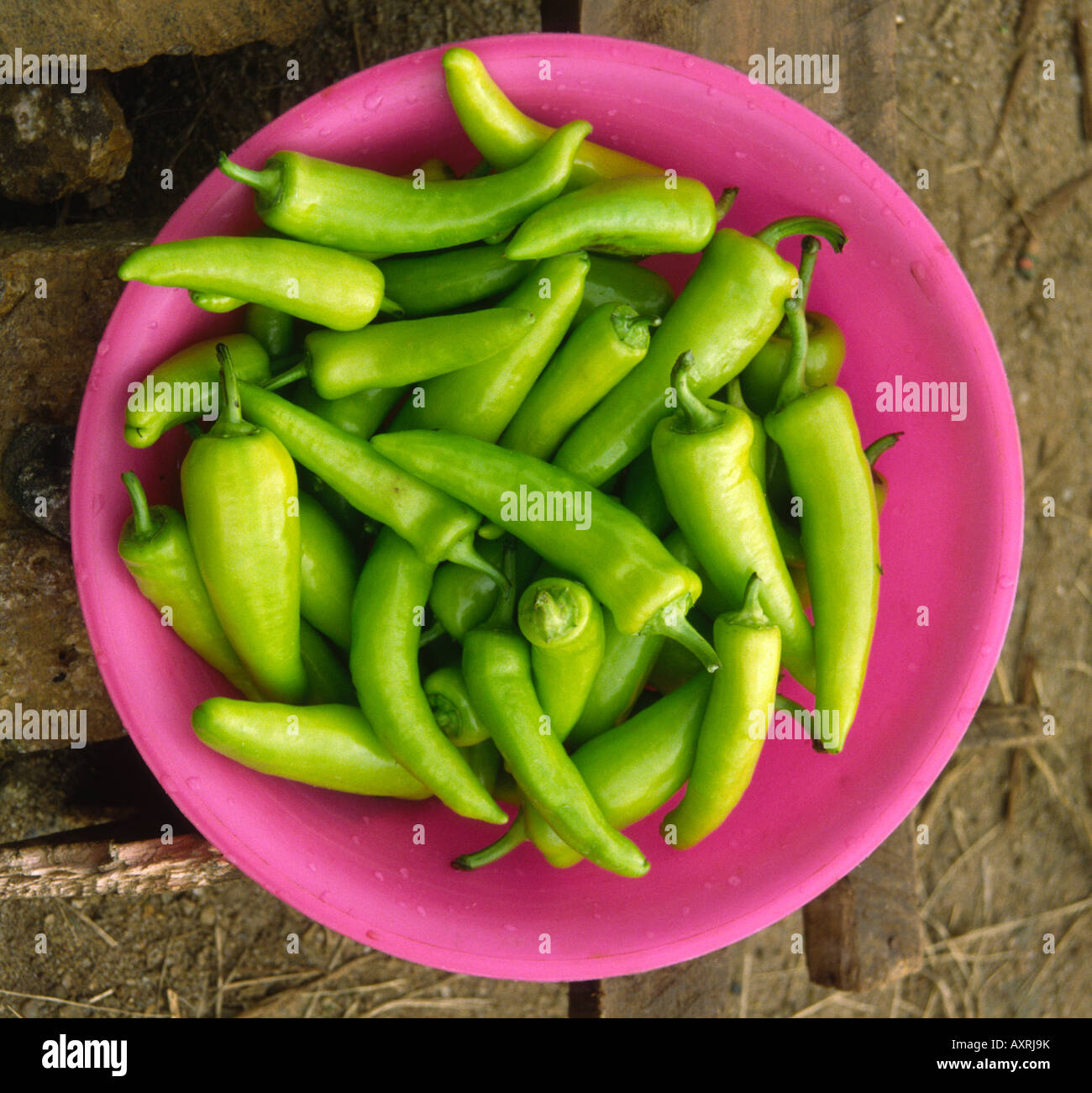 Sri lankan chillies hi-res stock photography and images - Alamy Sri lankan chillies hi-res stock photography and images - Alamy