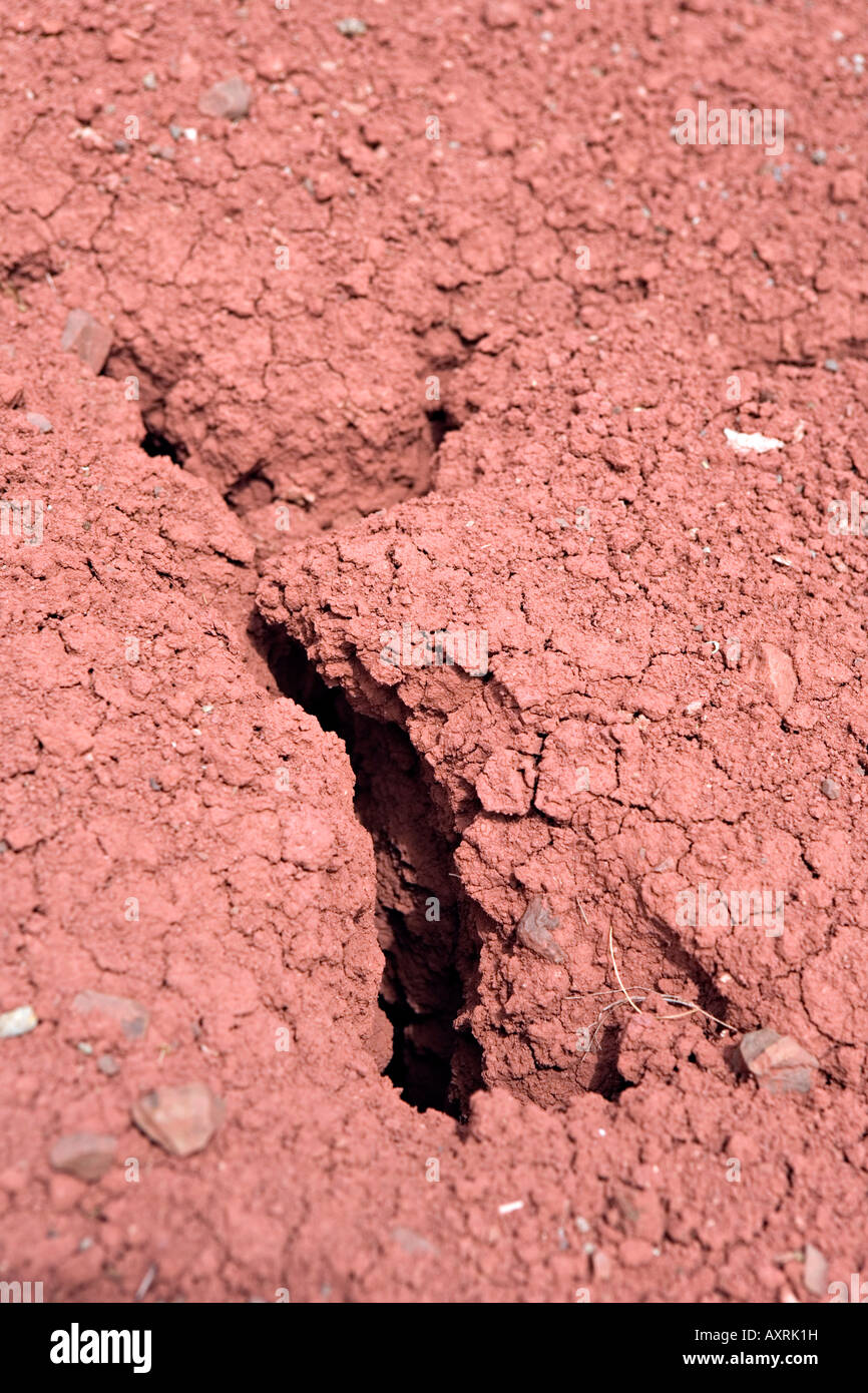 Red dry clay loam closeup hi-res stock photography and images - Alamy