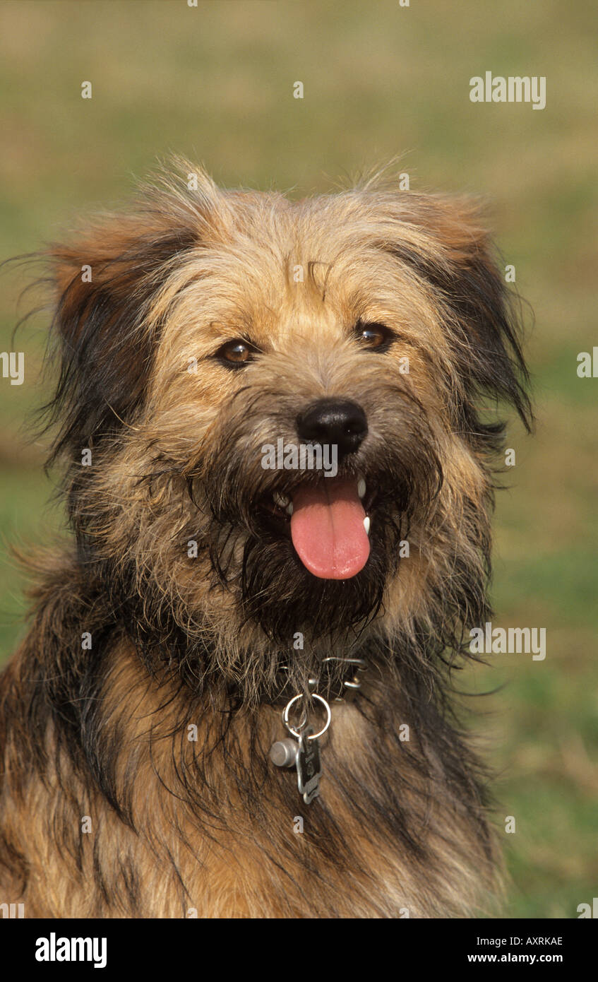 Half size portrait hi-res stock photography and images - Alamy