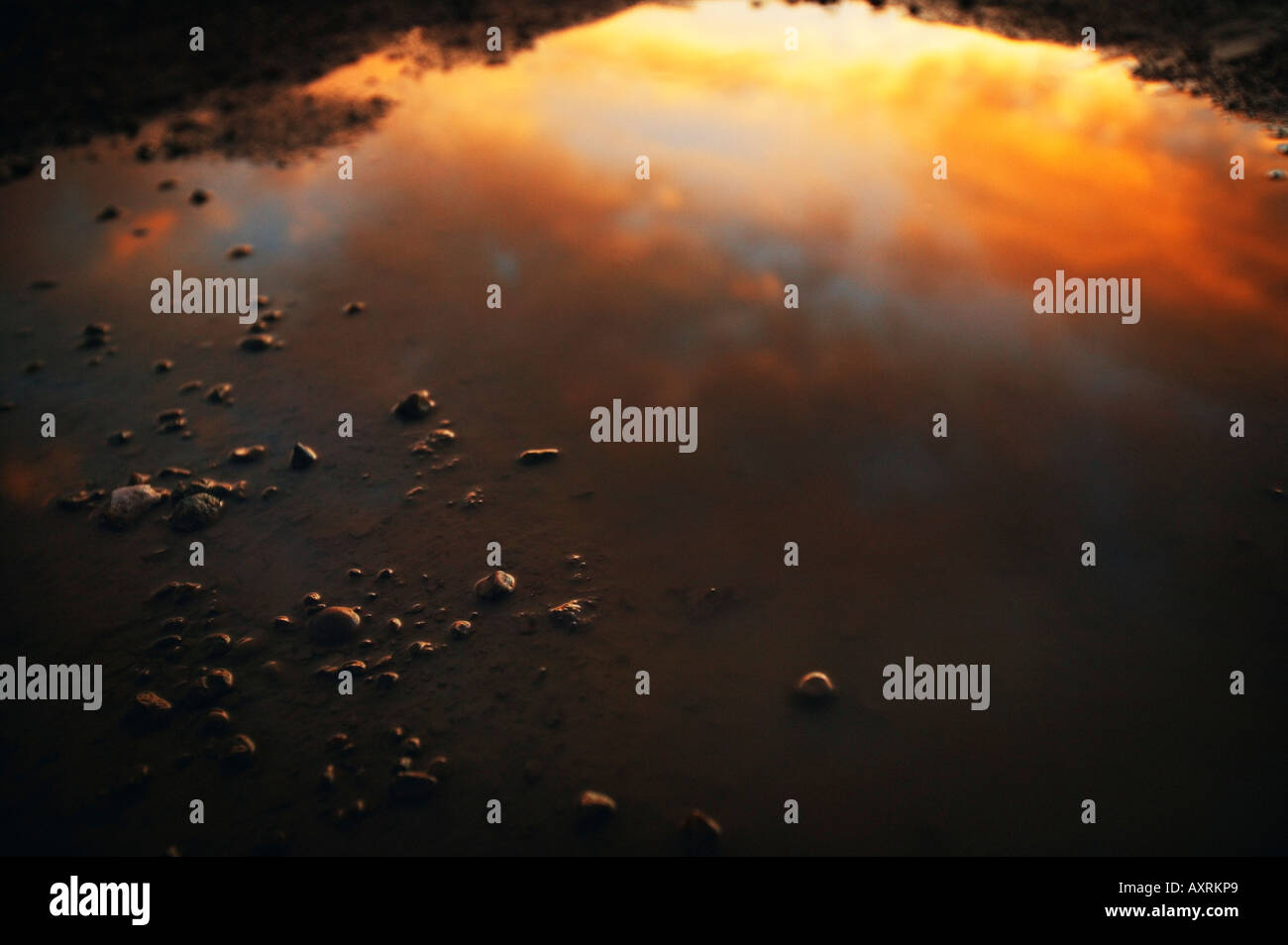 Reflection of sky in puddle Stock Photo - Alamy
