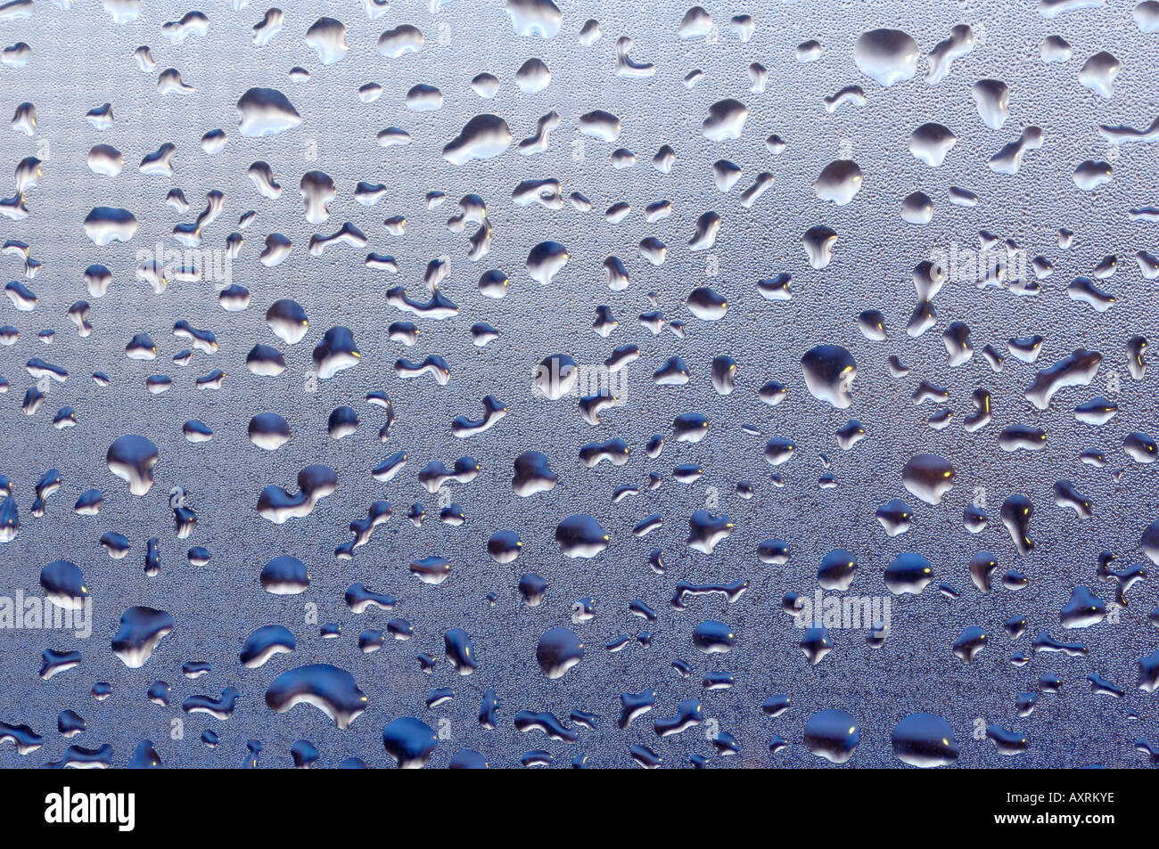 Water droplets on a window Stock Photo - Alamy