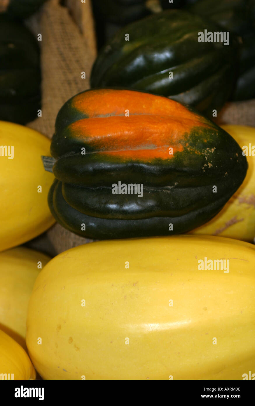 Spherical squash hi-res stock photography and images - Alamy