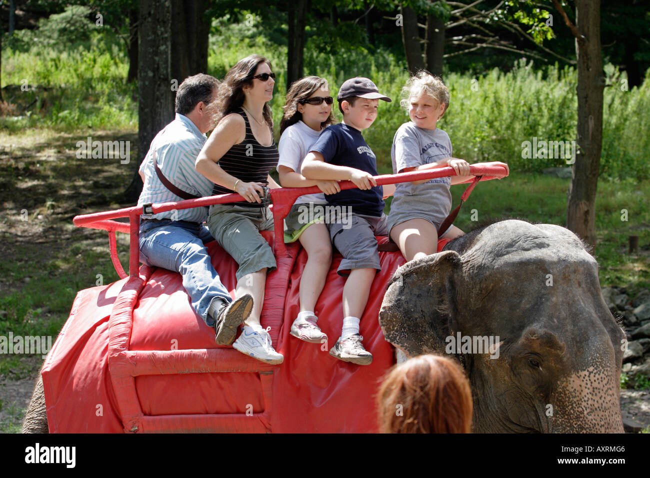 Family riding an elephant Stock Photo - Alamy