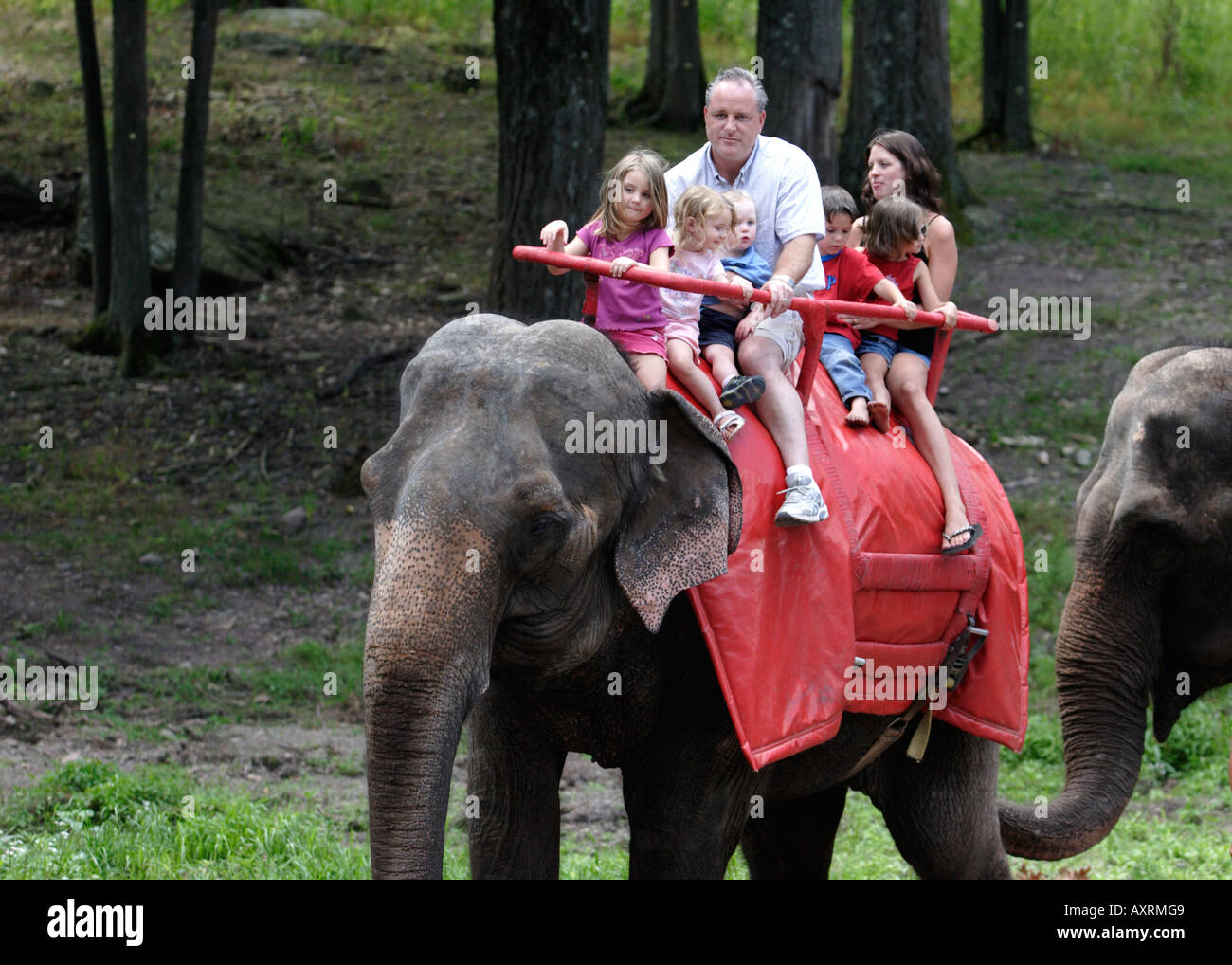 Family on Elephant Ride Stock Photo - Alamy