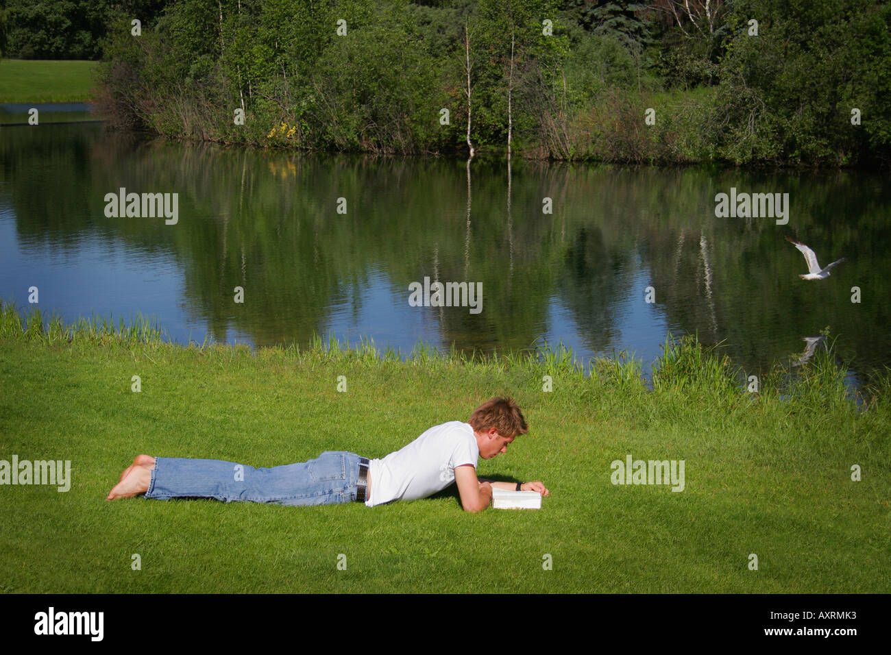 Study studies outside read book hi-res stock photography and images - Alamy