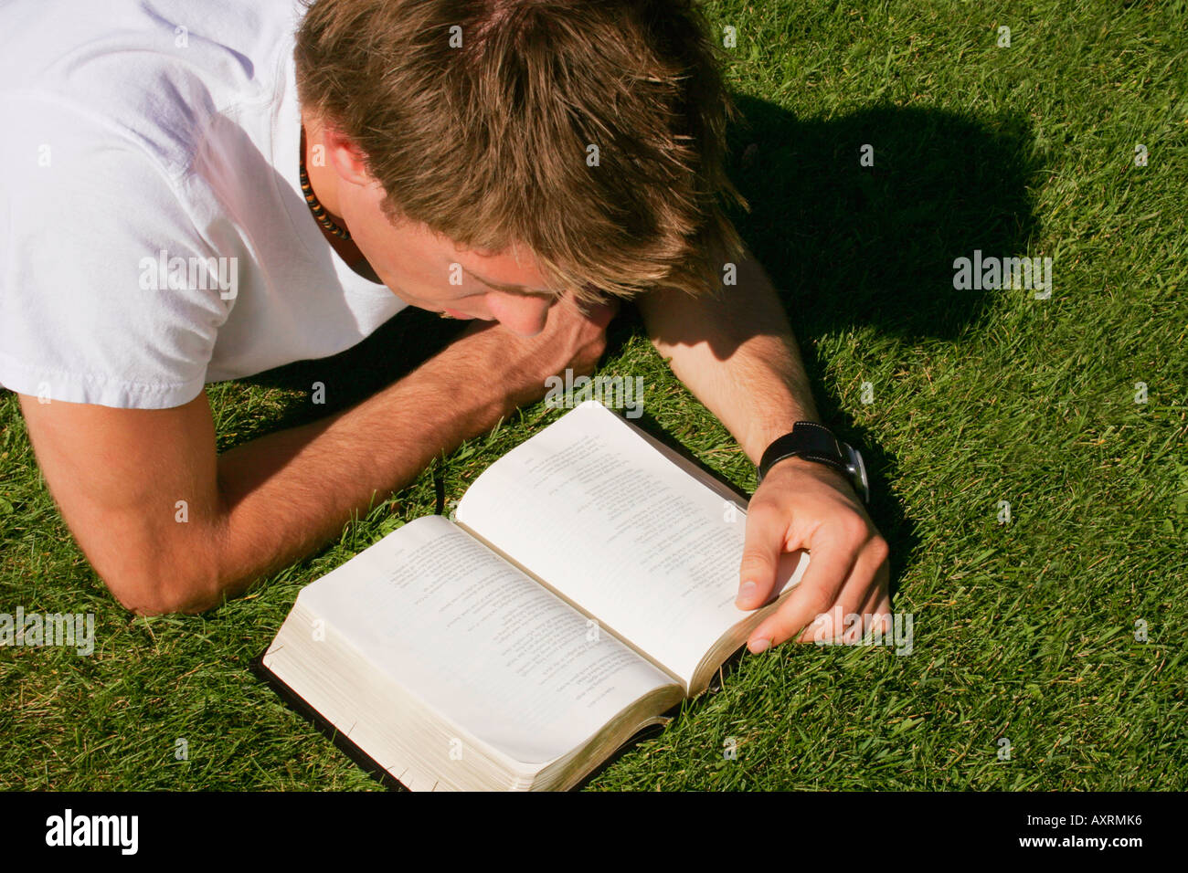 Study studies outside read book hi-res stock photography and images - Alamy