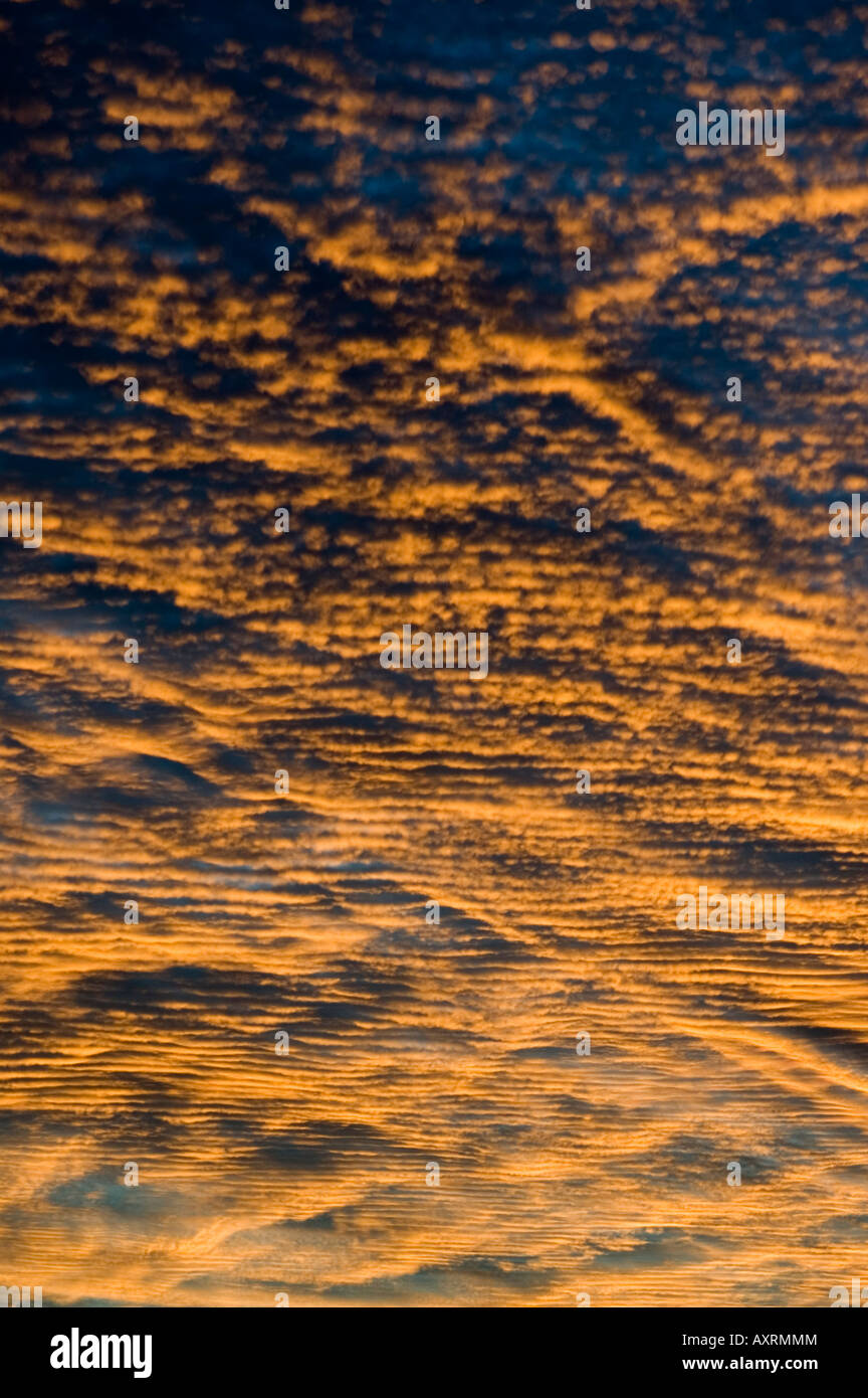 gold clouds at sunset Stock Photo - Alamy