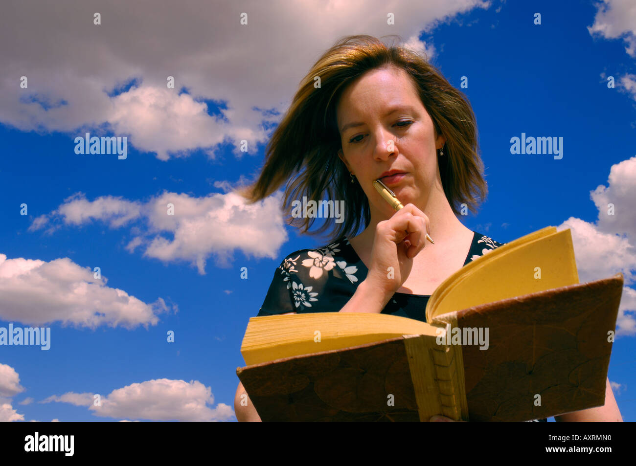 Woman making a journal entry Stock Photo - Alamy
