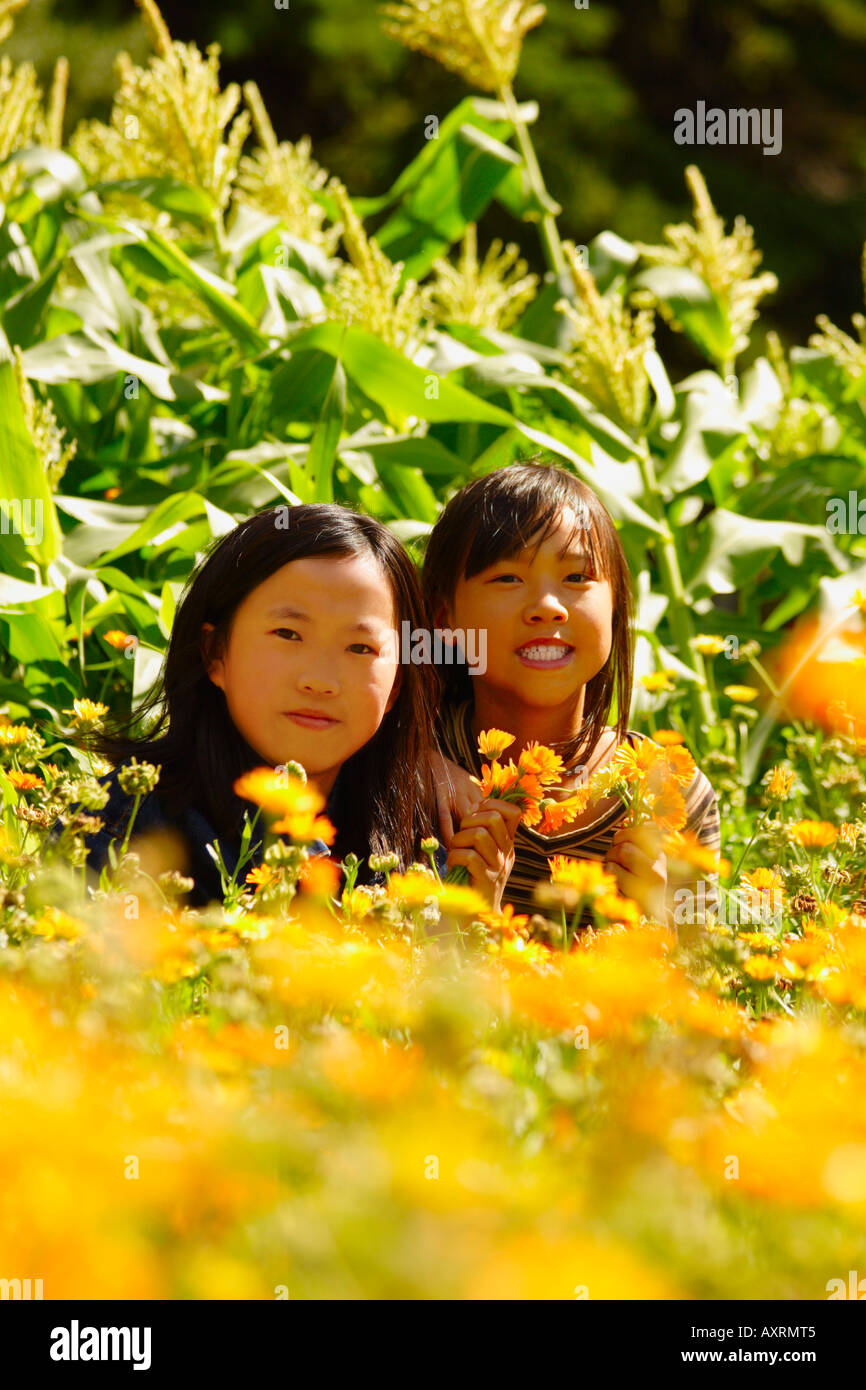 Young girls in field Stock Photo - Alamy