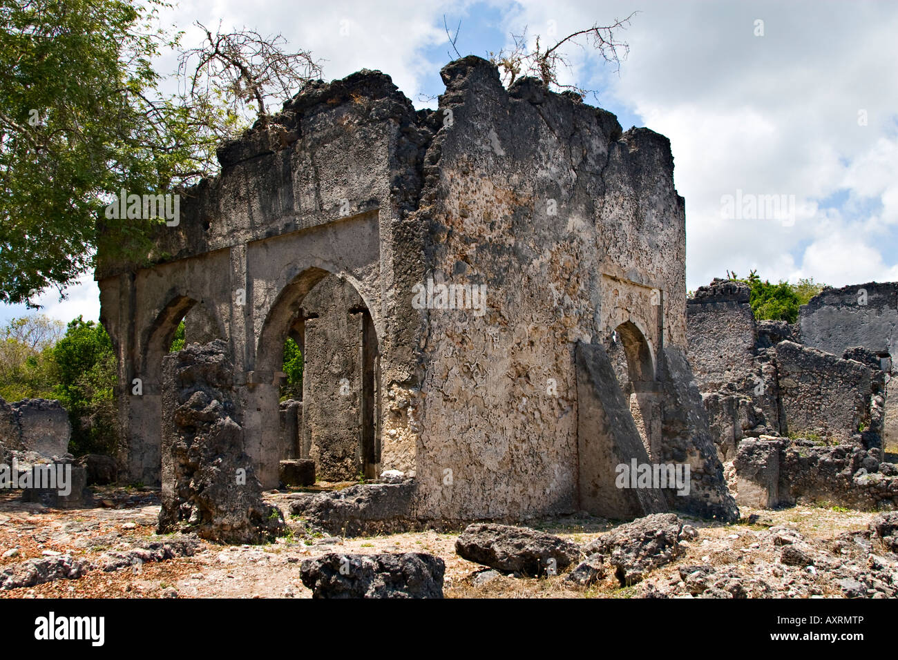 Songo Mnara Ruins, Tanzania, Africa, UNESCO site Stock Photo - Alamy