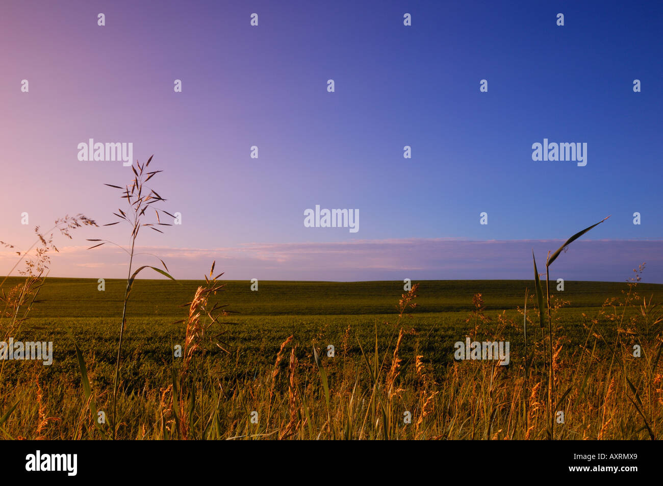 Farm landscape - Alberta, Canada Stock Photo - Alamy